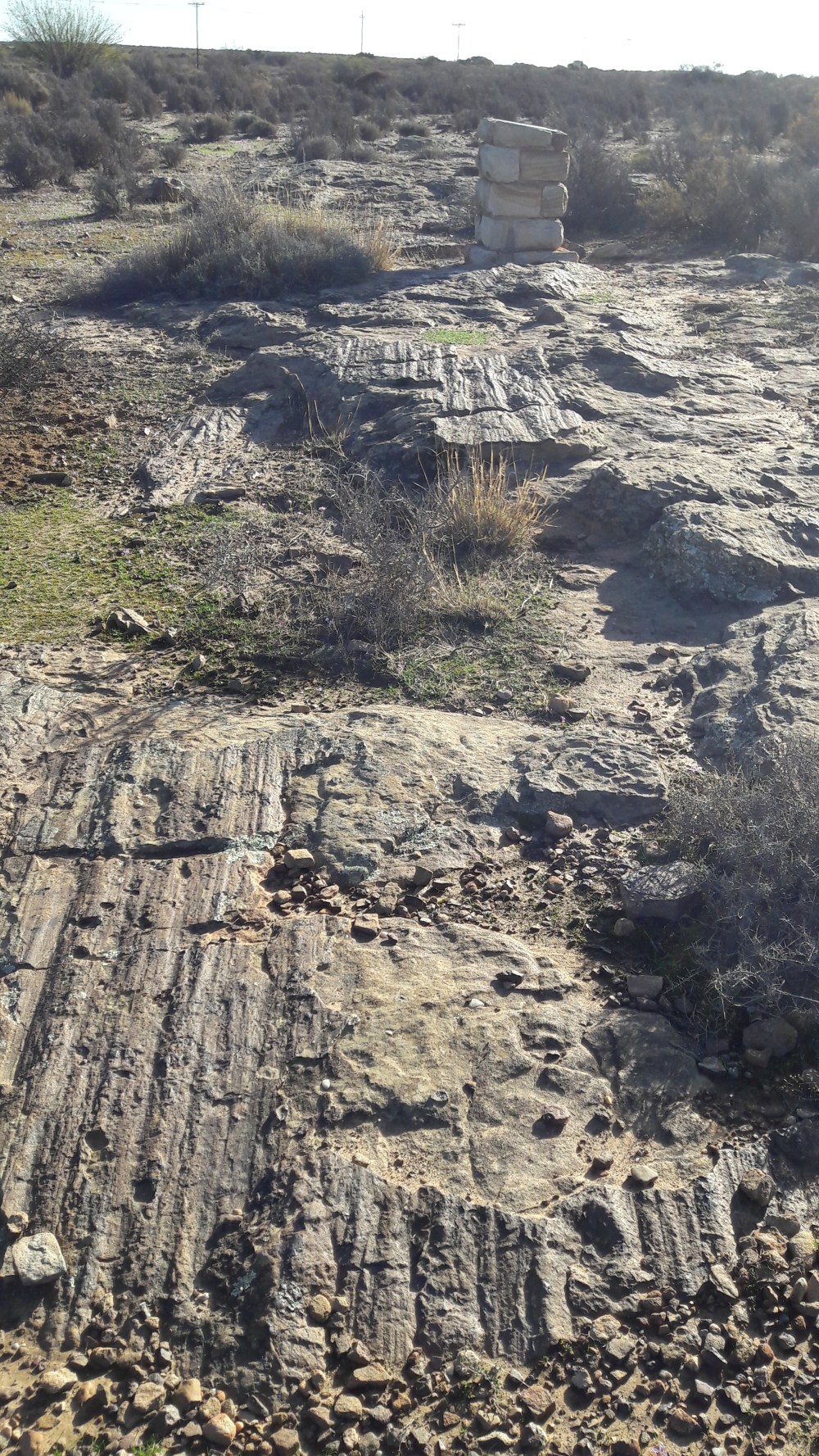 Oorlogskloof Glacial Pavement – Georneys