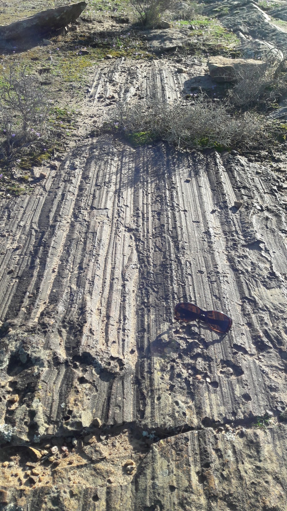 Monday Geology Picture: Oorlogskloof Glacial Pavement – Georneys