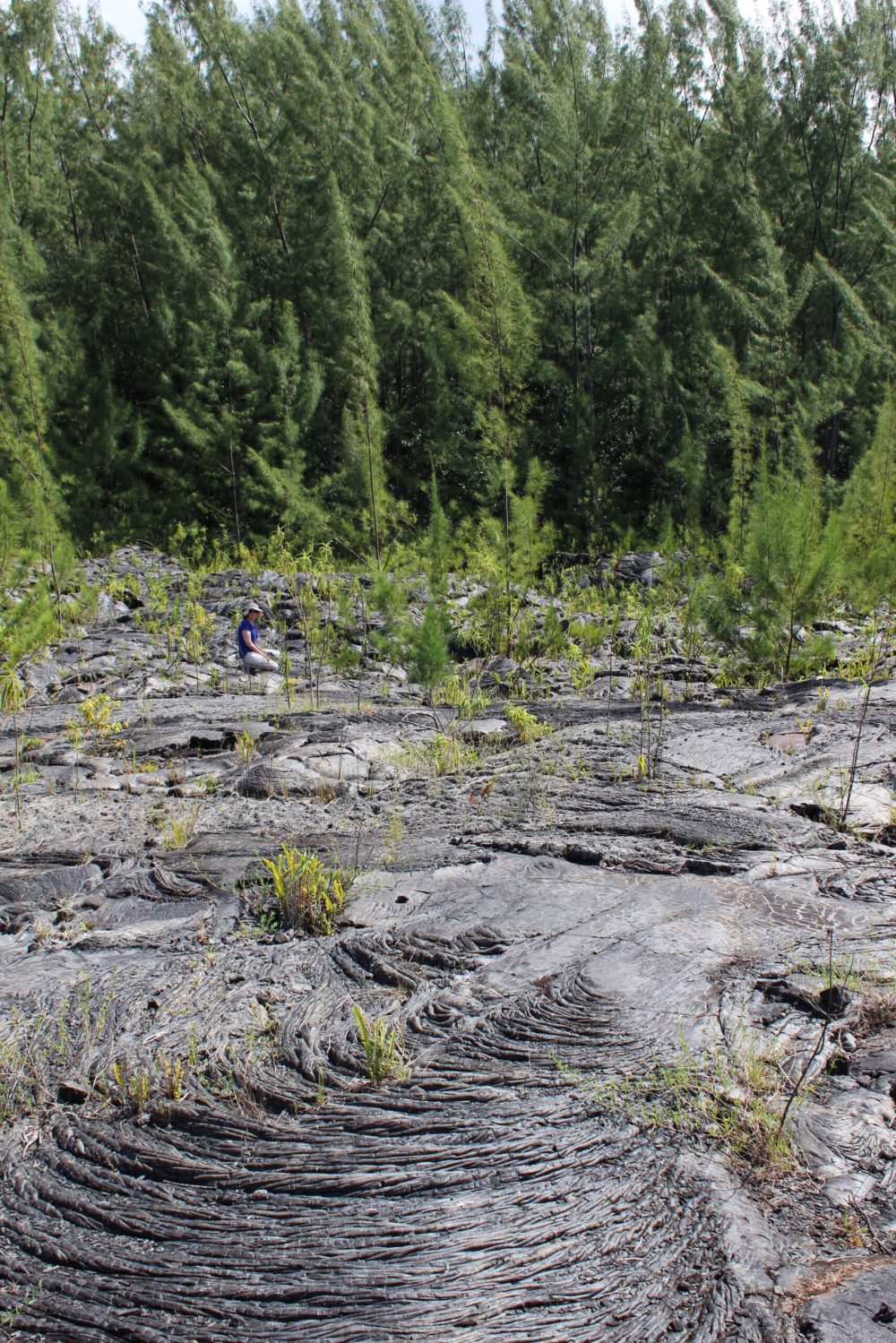 Georneys – Geological Musings, Wanderings, and Adventures