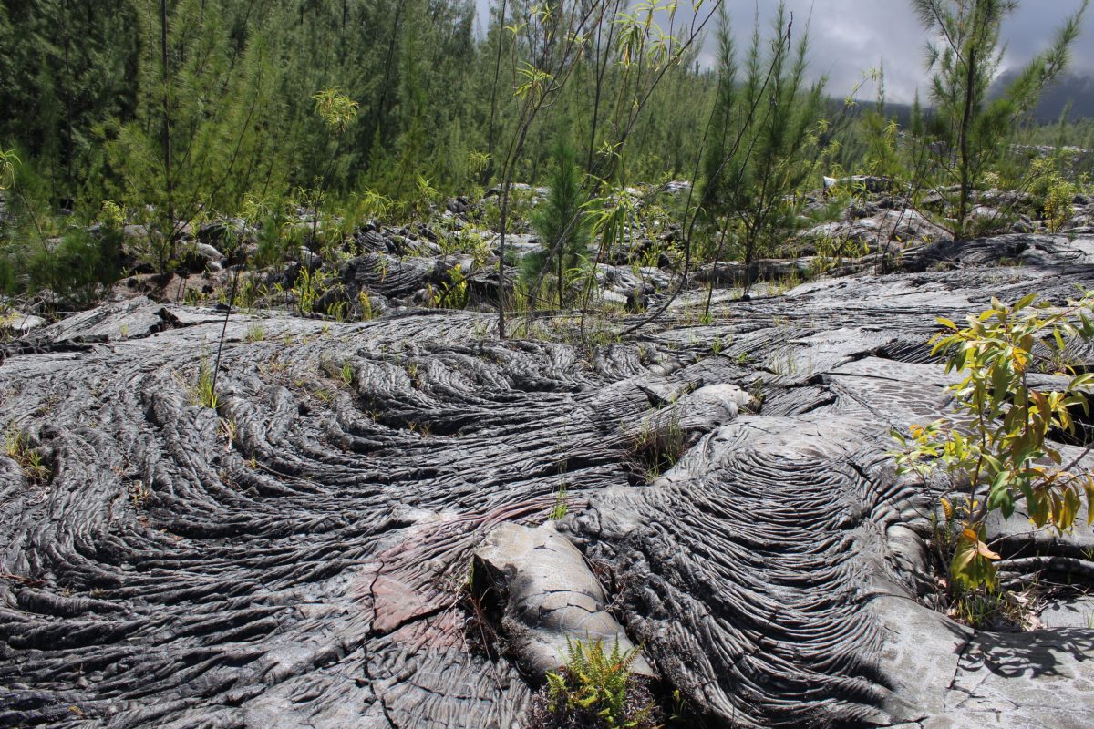 Georneys – Geological Musings, Wanderings, and Adventures
