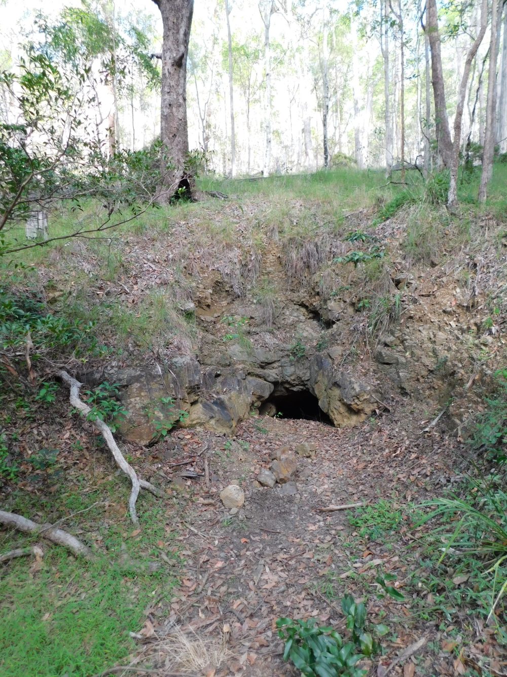 Gold Mine Hike at Mount Coot-tha, Brisbane, Australia – Georneys