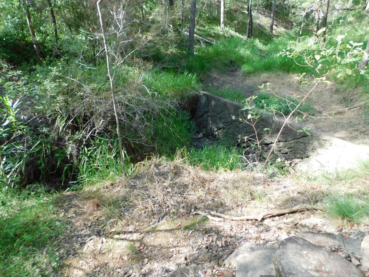 Gold Mine Hike at Mount Coot-tha, Brisbane, Australia – Georneys