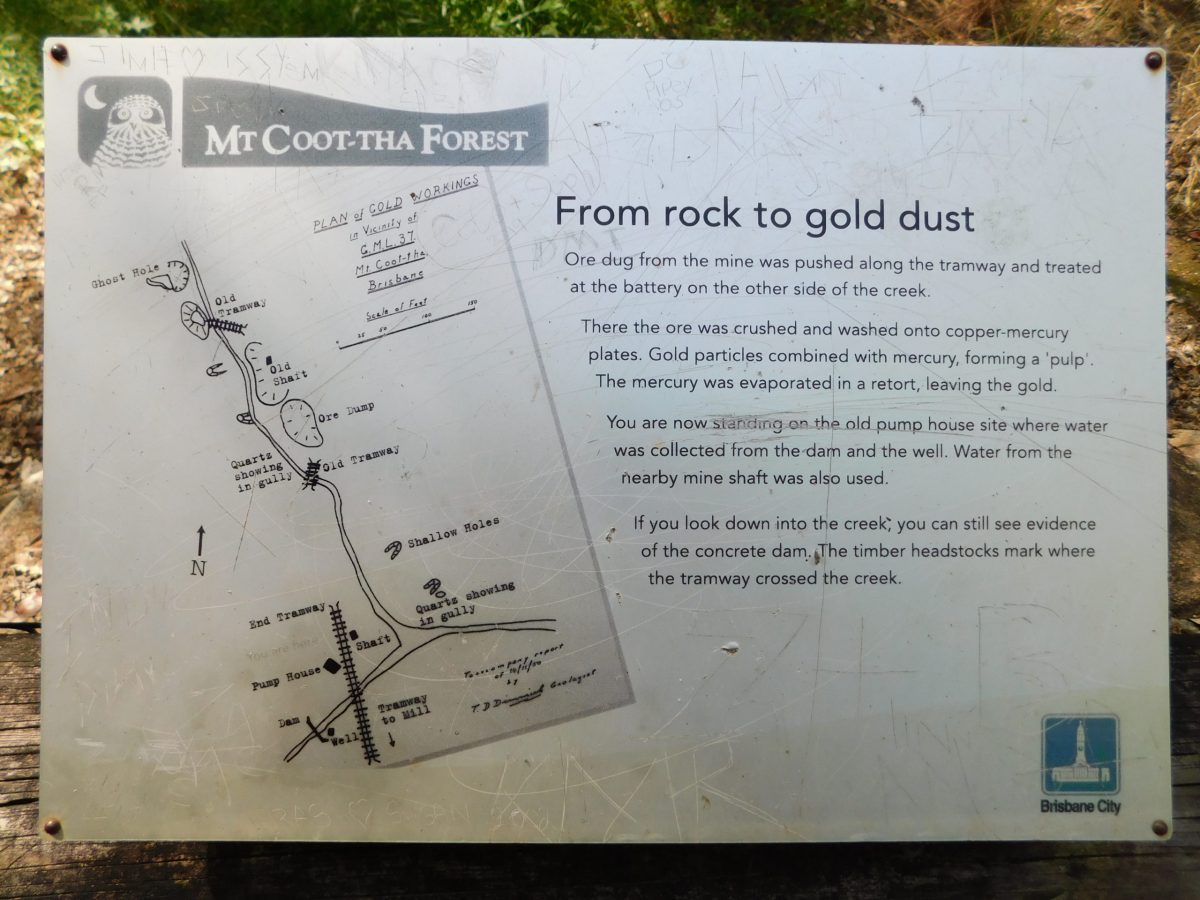 Gold Mine Hike at Mount Coot-tha, Brisbane, Australia – Georneys