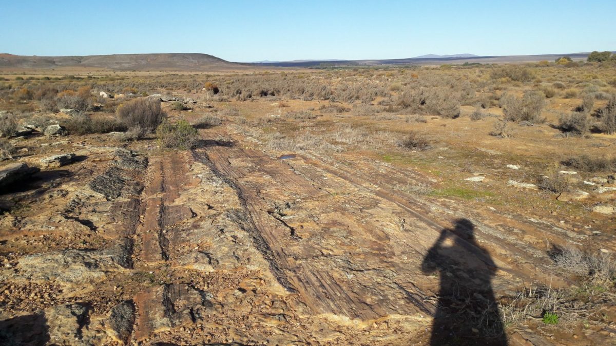 Oorlogskloof Glacial Pavement – Georneys